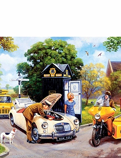 Traditional Adult Jigsaws - Gifts For Him & For Her - Chums